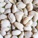 Hawaiian Clam Shells - Etsy