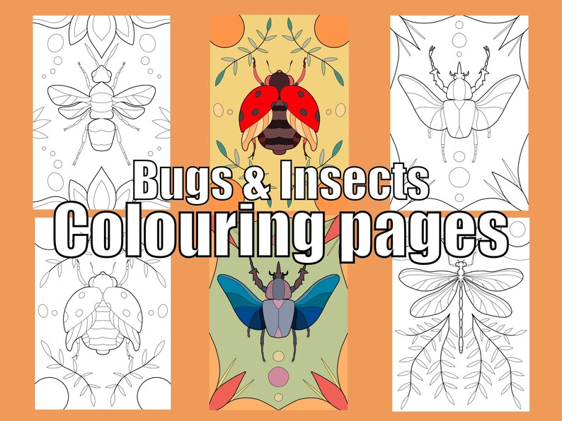 Bugs and Insects Digital Colouring Pages / 9 Page Printable - Etsy