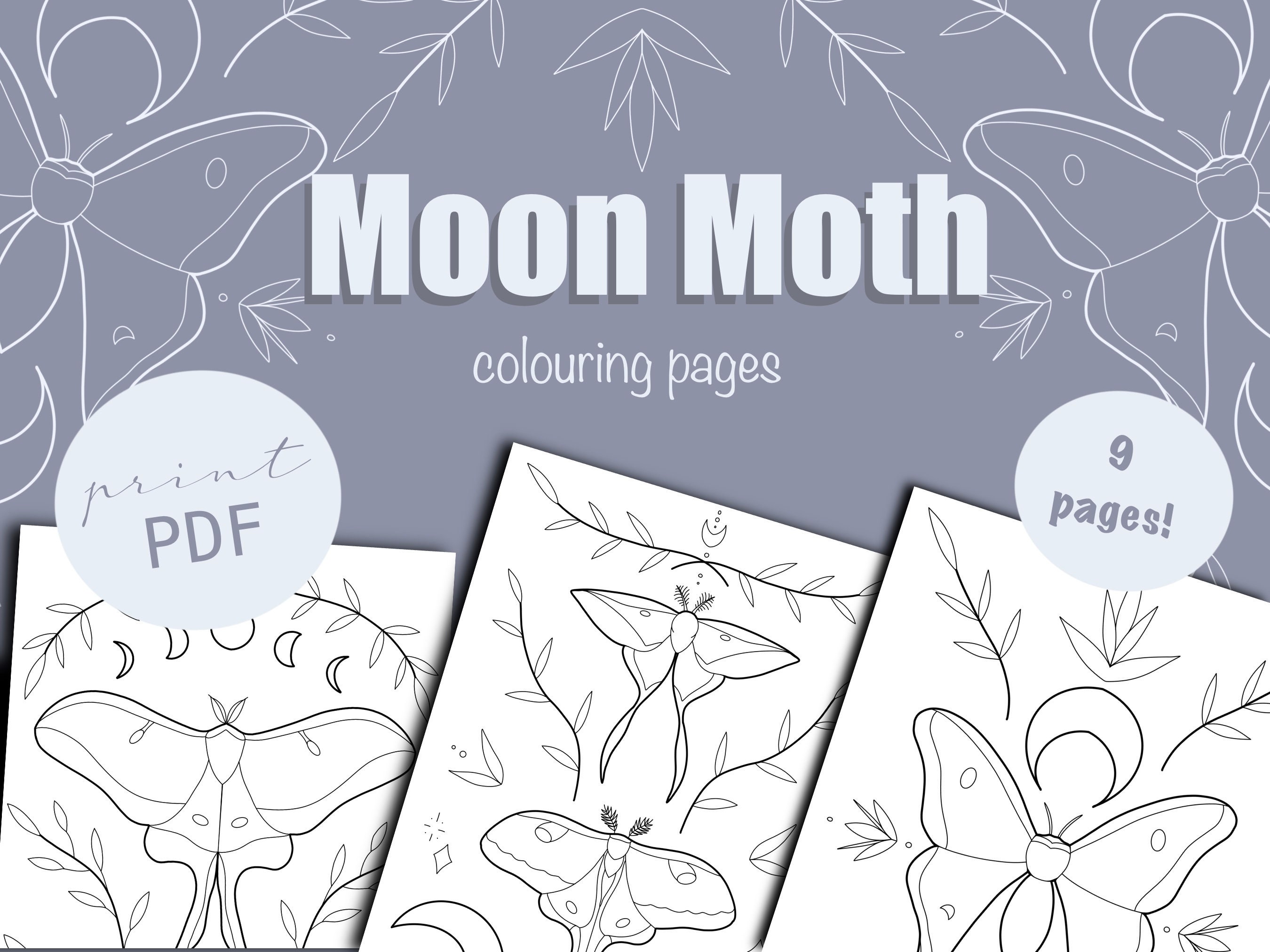 Moon Moth Digital Colouring Pages / 9 Page Printable Coloring Book ...