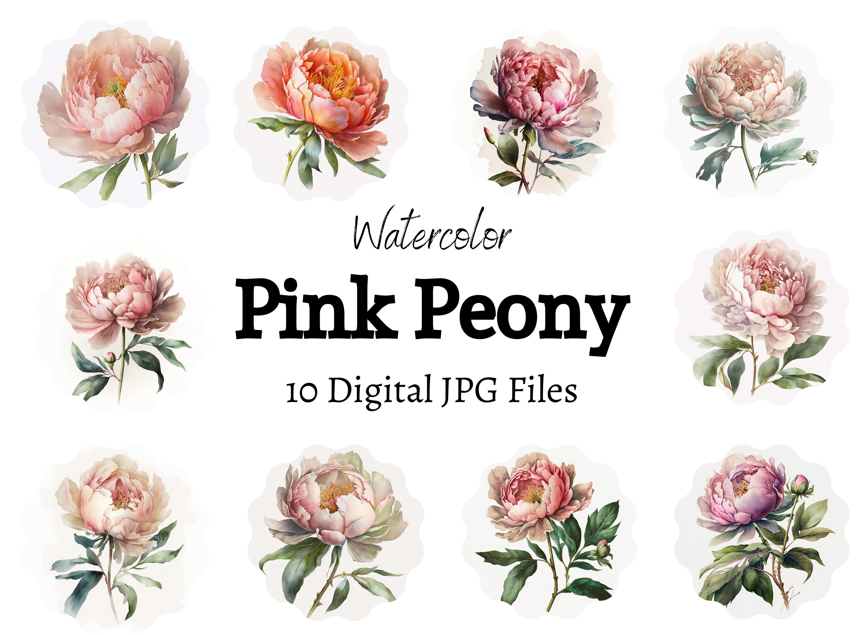 Watercolor Pink Peony Clip Art Collage Sheet Digital Paper - Etsy