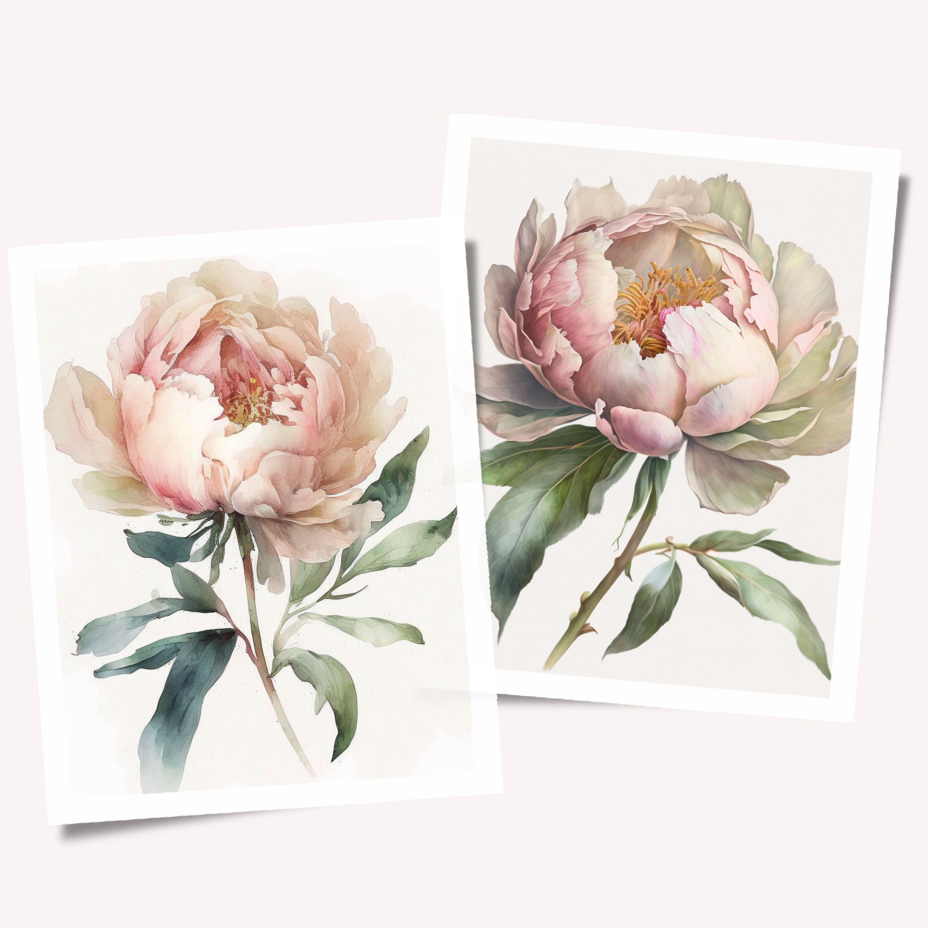 Watercolor Pink Peony Clip Art Collage Sheet Digital Paper - Etsy