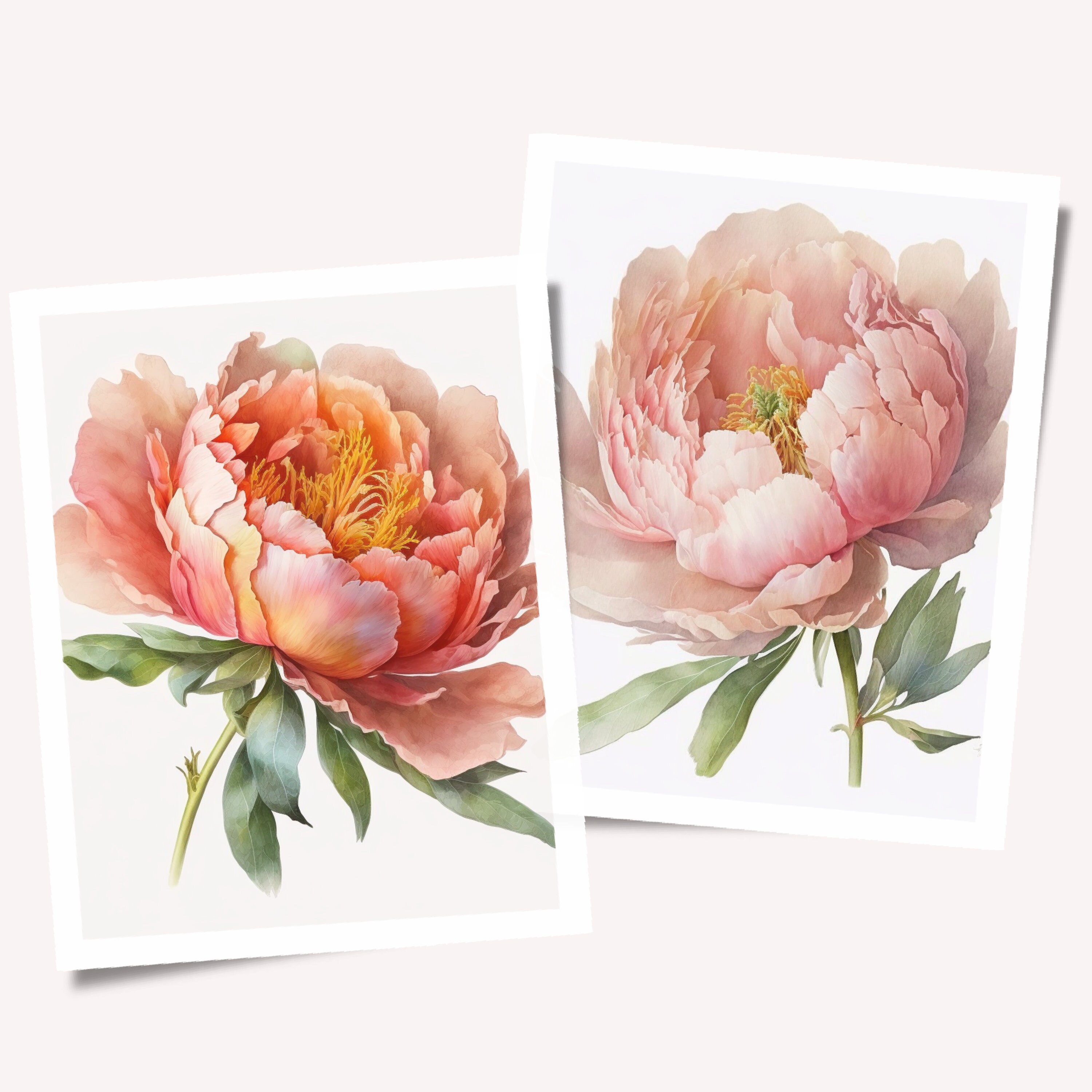 Watercolor Pink Peony Clip Art Collage Sheet Digital Paper - Etsy