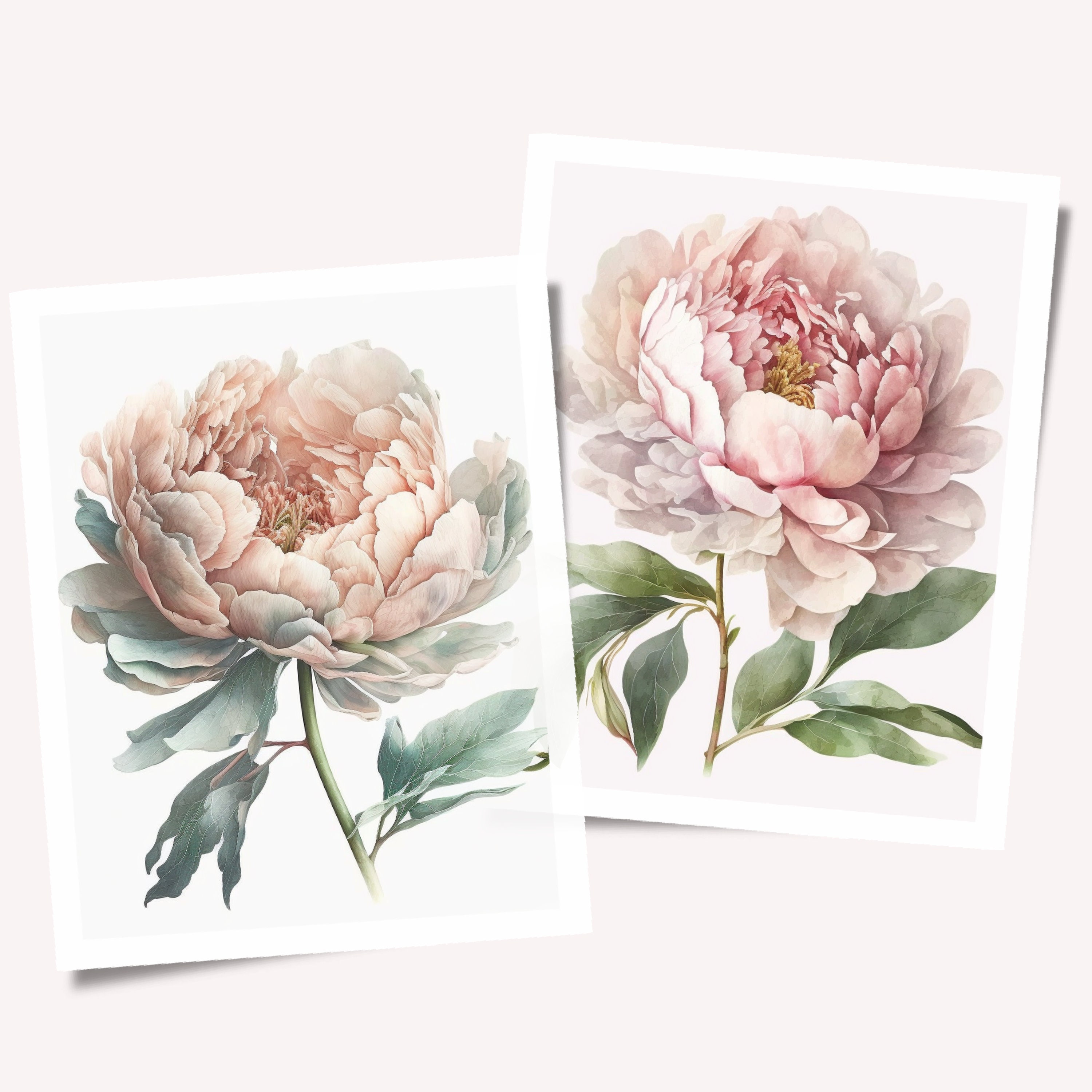 Watercolor Pink Peony Clip Art Collage Sheet Digital Paper - Etsy