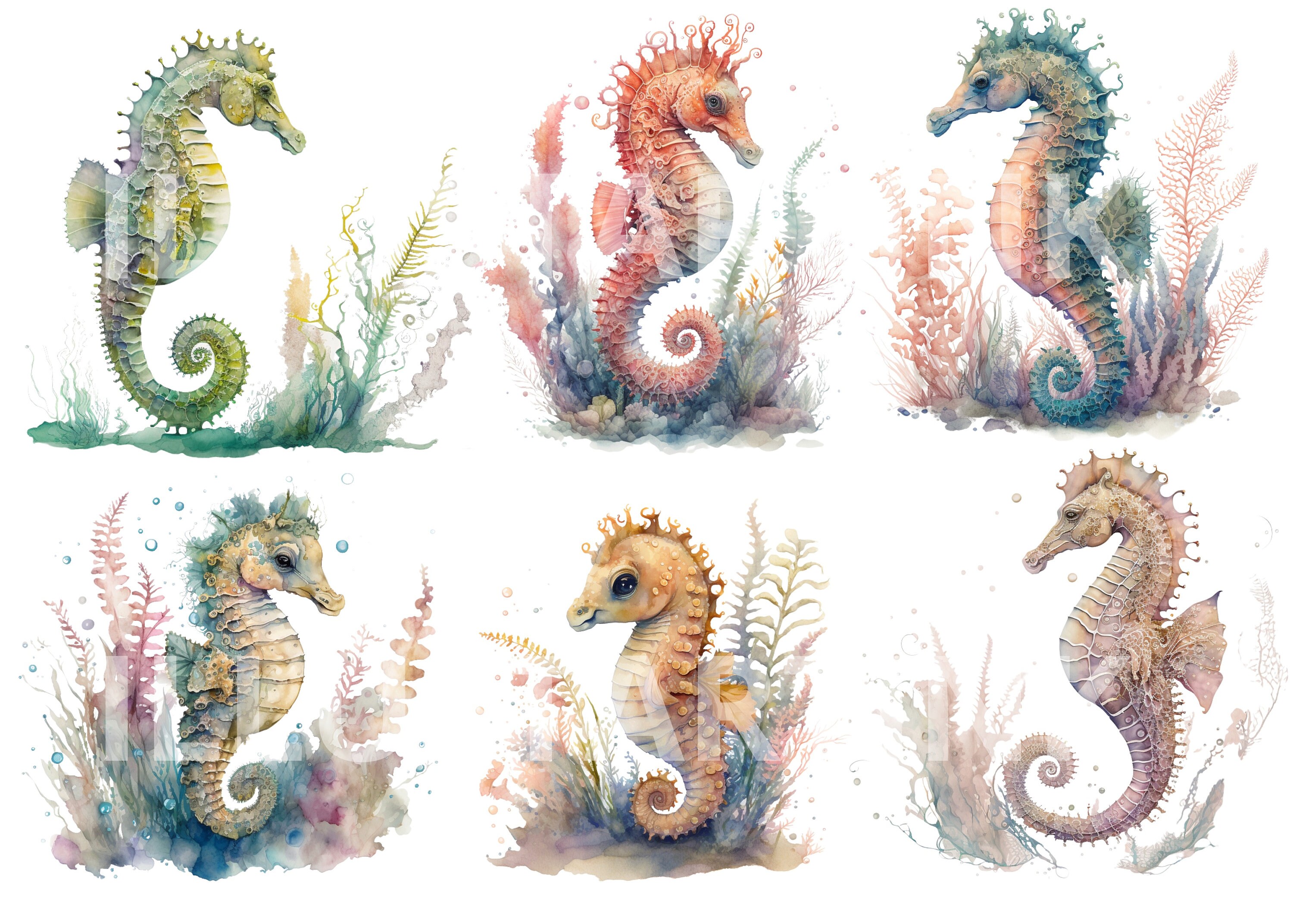 Seahorse Clipart Nautical Clipart Ocean Animal Sea Animals - Etsy
