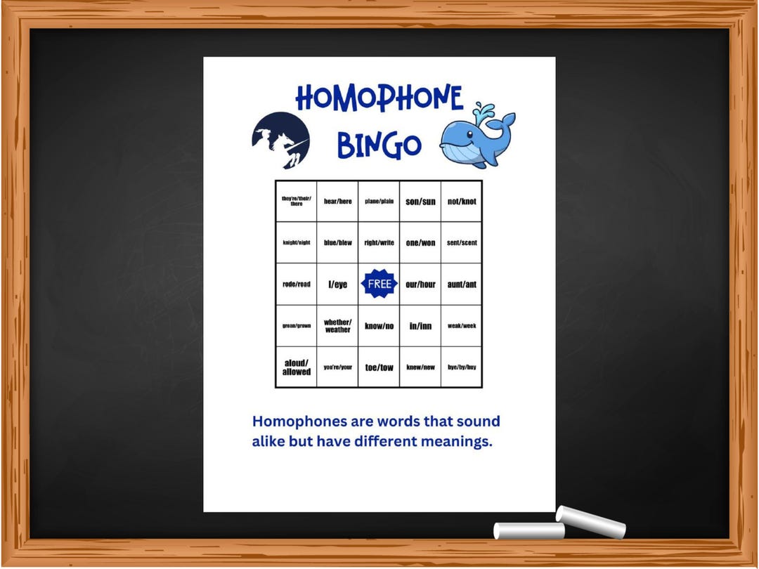 Classroom Bingo Game Downloadable & Printable, Homophone Bingo School ...