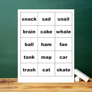 Word Family Classroom Bingo Digital Download & Printable - Etsy