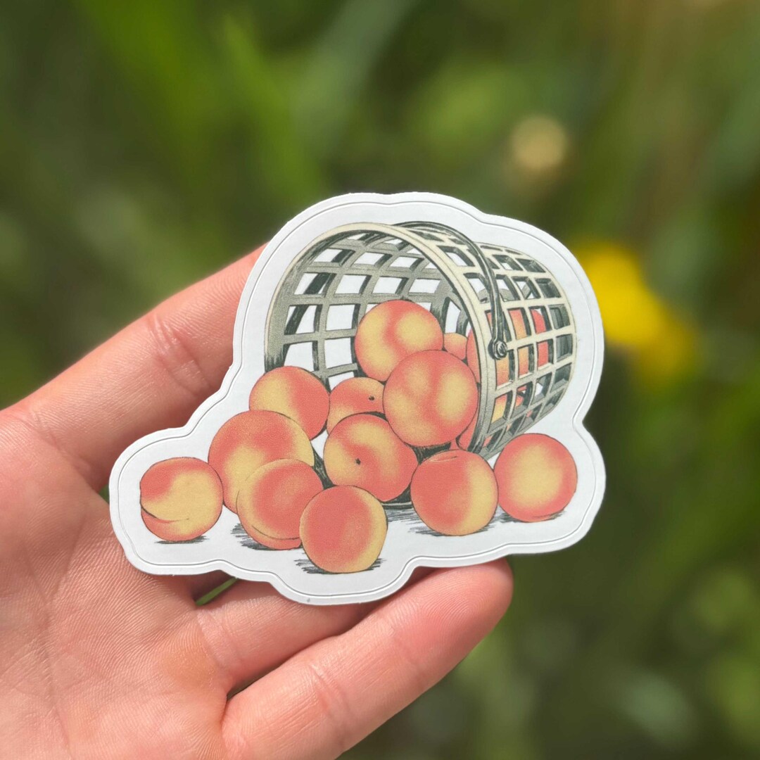 Peach Range Bucket Logo Sticker | Georgia Golf Company | Laptop Water ...
