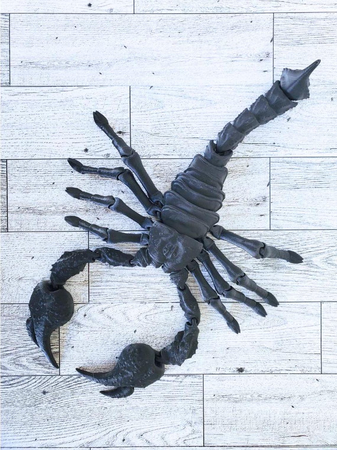 Articulated Emperor Scorpion, Scorpion Decor, Office Decor, Sensory Toy ...