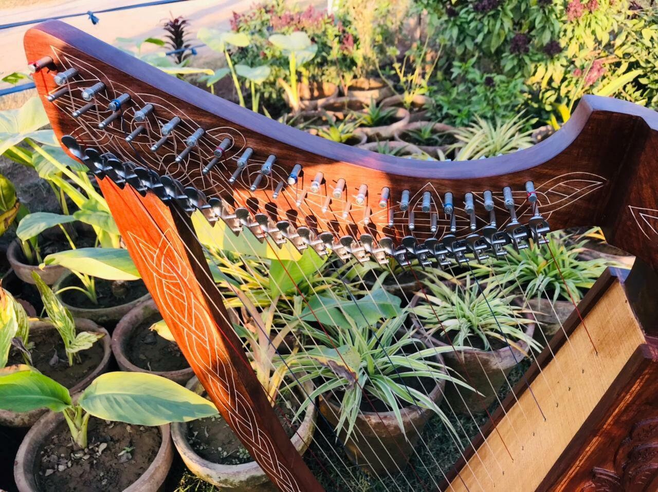 22 String Harp SOLID ROSEWOOD Extra Strings & Carrying Case Great for ...