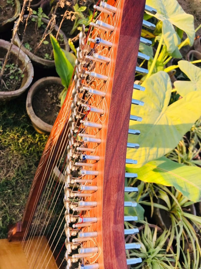 22 String Rosewood Harp With Gig Bag & Extra Strings - Etsy