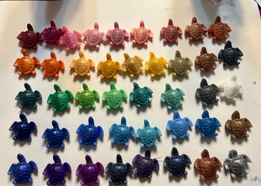 Resin Mini Turtle Magnets (set of 2) - Etsy
