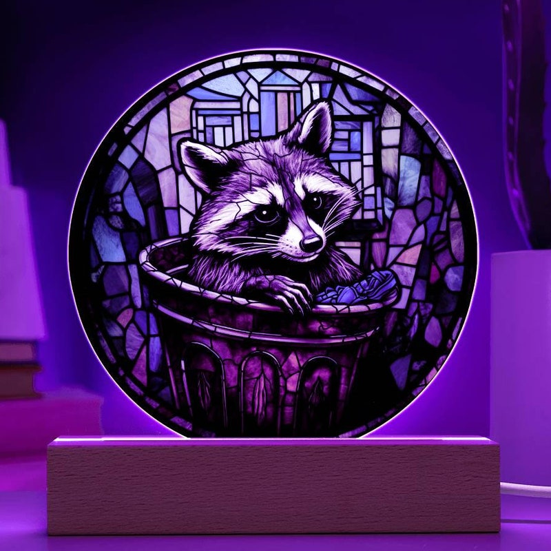 Raccoon Trashcan Shirt - Etsy