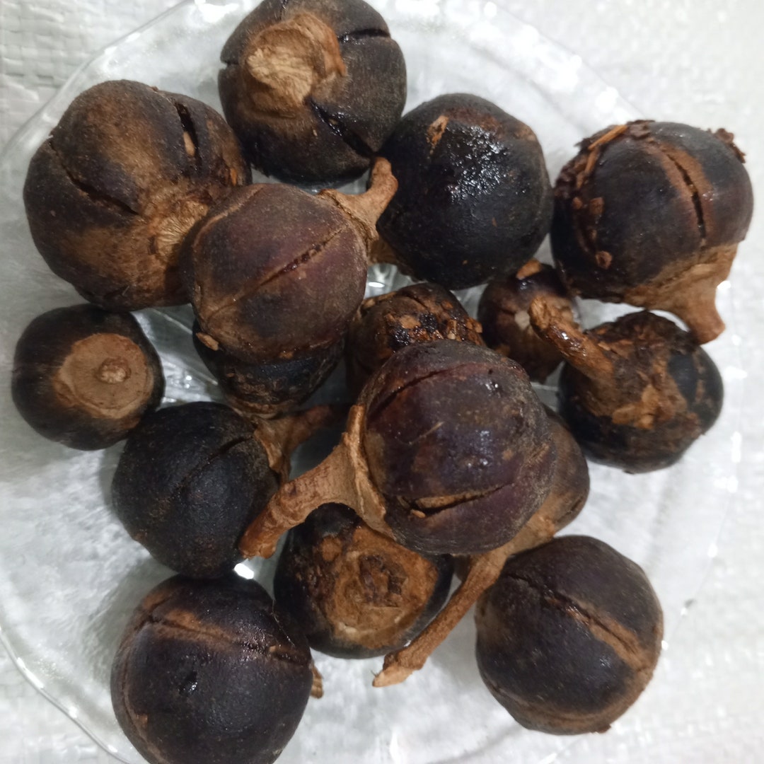 Goron Tula Snot Apple Miracle Fruit African Chewing Gum Azanza ...