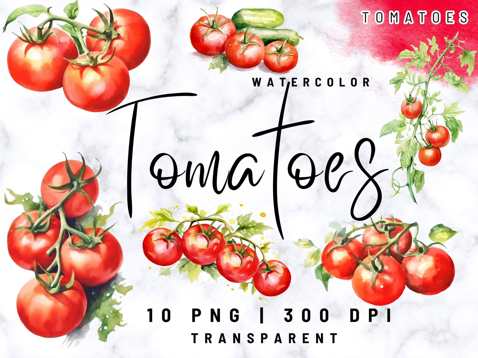 Tomato Clipart, Tomato Watercolor, Tomato Clipart Bundle, Tomato PNG ...