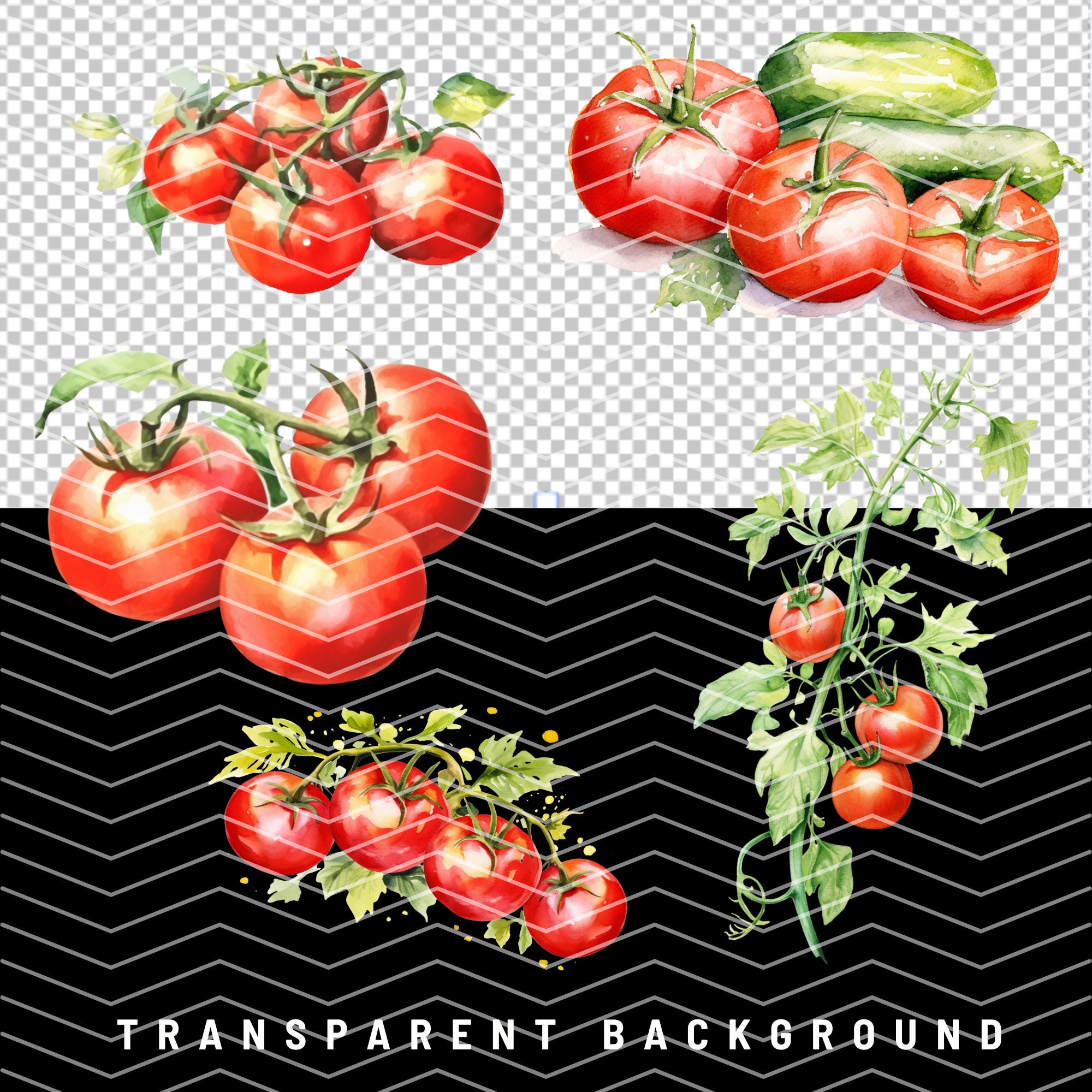 Tomato Clipart, Tomato Watercolor, Tomato Clipart Bundle, Tomato PNG ...