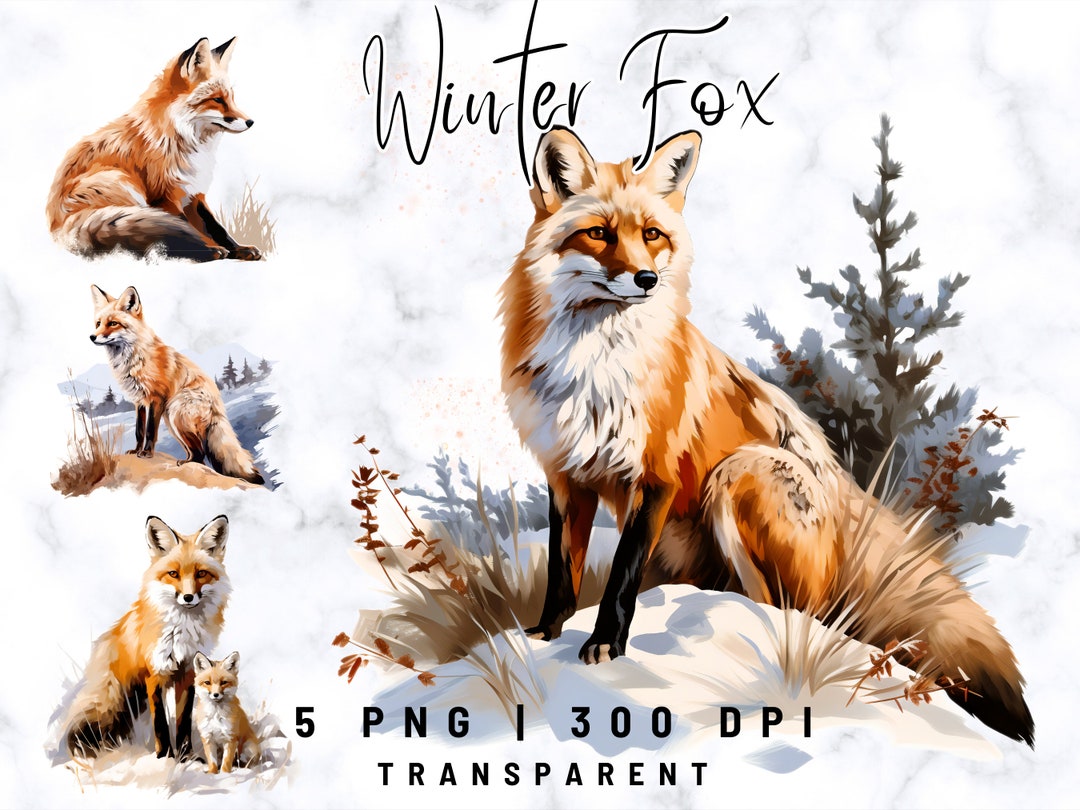 5 Fox Clipart, Fox Watercolor Clipart, Winter Animals Clipart, Digital ...