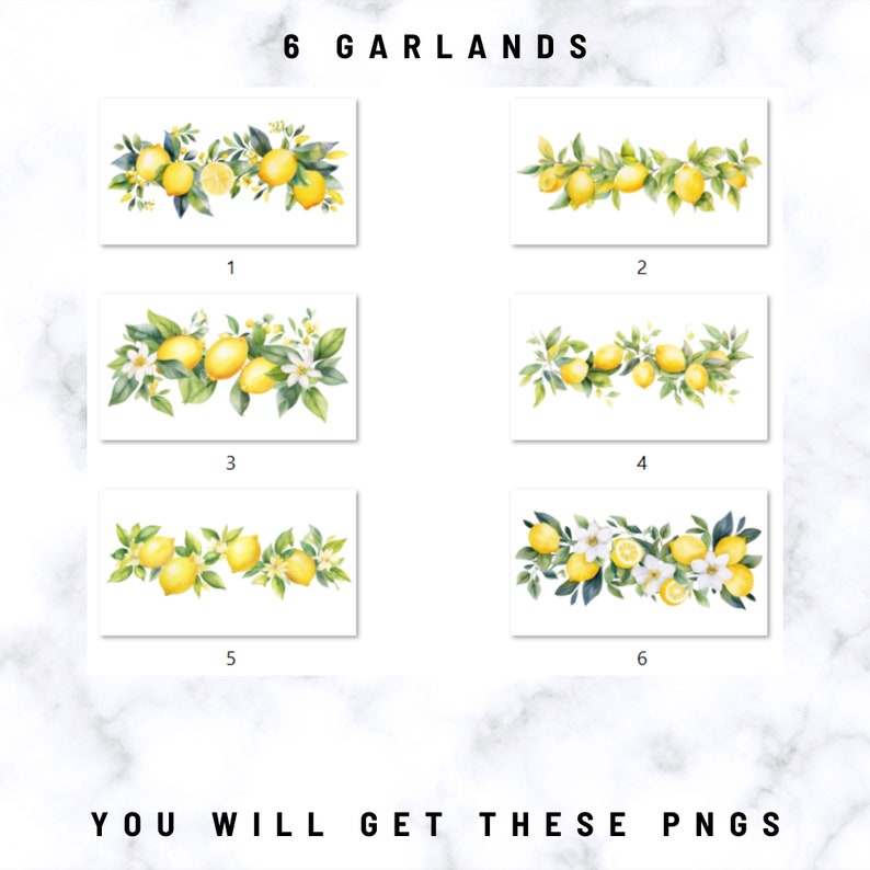 Watercolor Lemon Frames Png Lemon Clipart Bundle Watercolor Lemons ...