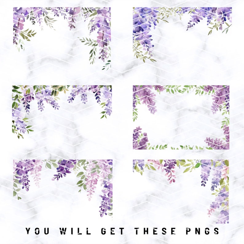 Wisteria Clipart | Wisteria Frame | Clipart Bundle | High Quality Pngs ...