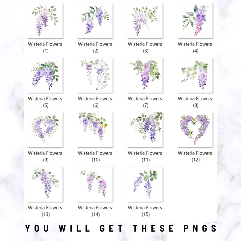 Wisteria Clipart | Wisteria Watercolor | High Quality Pngs | Digital ...