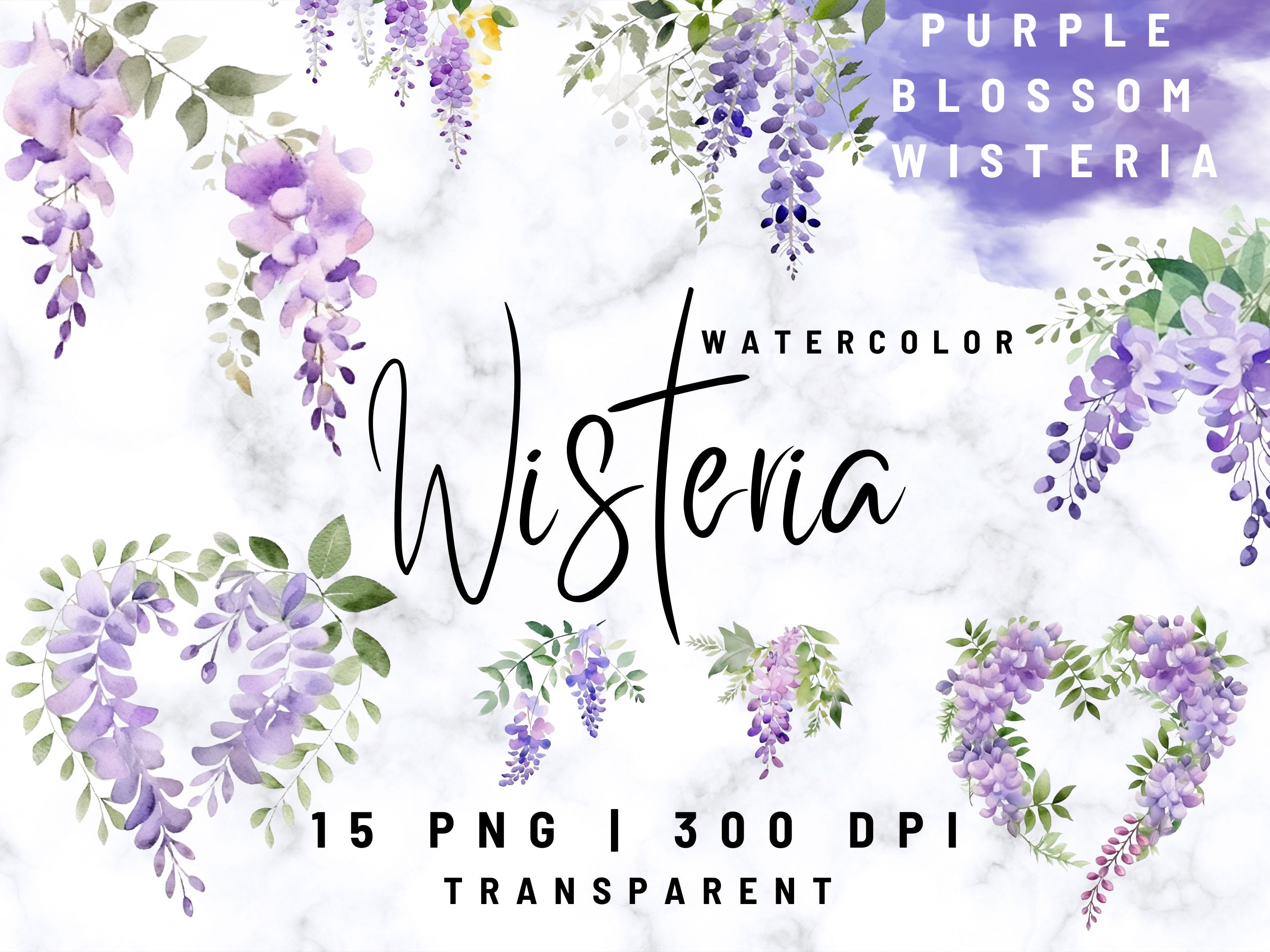 Wisteria Clipart | Wisteria Watercolor | High Quality Pngs | Digital ...