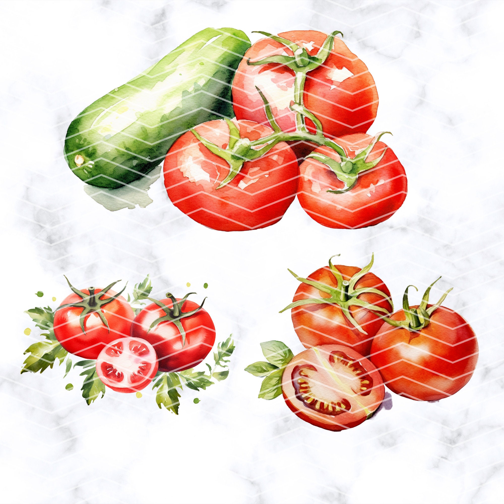Tomato Clipart, Tomato Watercolor, Tomato Clipart Bundle, Tomato PNG ...