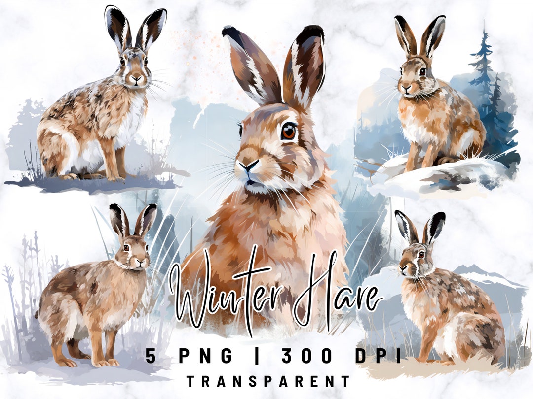 Snowshoe Hare Clipart PNG, Woodland Animals Clipart, Winter Animals ...