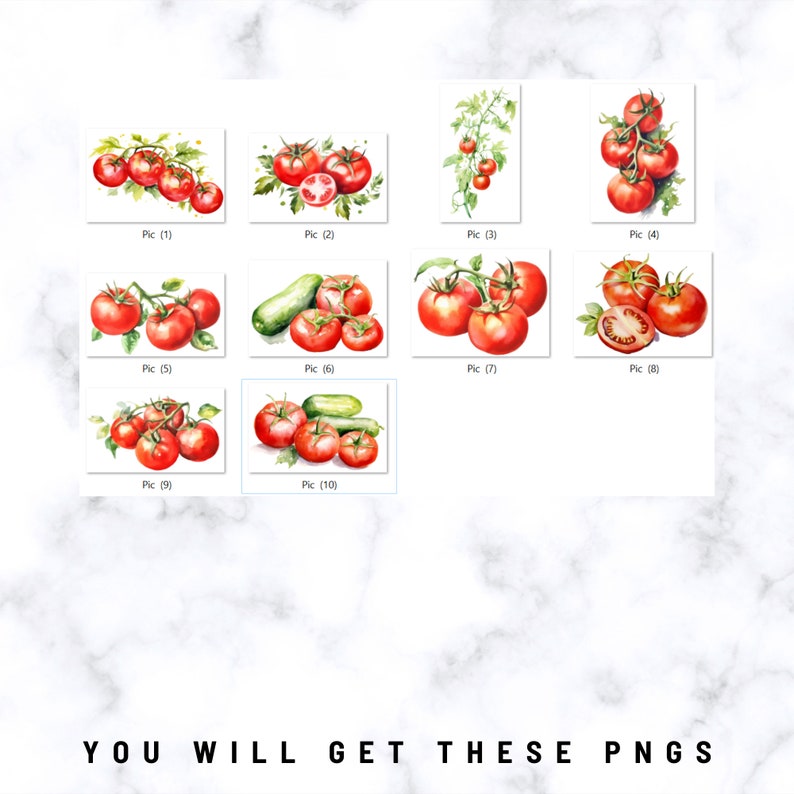 Tomato Clipart, Tomato Watercolor, Tomato Clipart Bundle, Tomato PNG ...