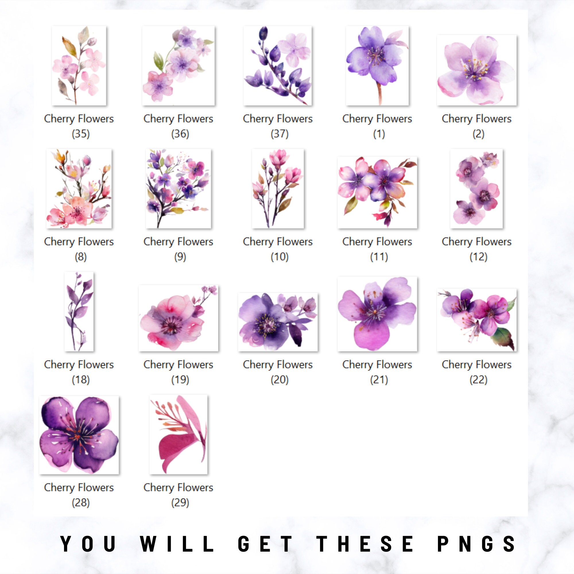 Cherry Blossom Clipart | Watercolor Clipart Bundle | High Quality Pngs ...