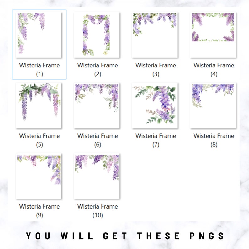 Wisteria Clipart | Wisteria Frame | Clipart Bundle | High Quality Pngs ...