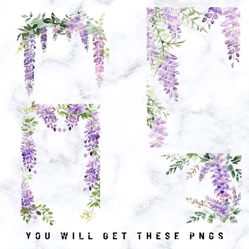 Wisteria Clipart | Wisteria Frame | Clipart Bundle | High Quality Pngs ...