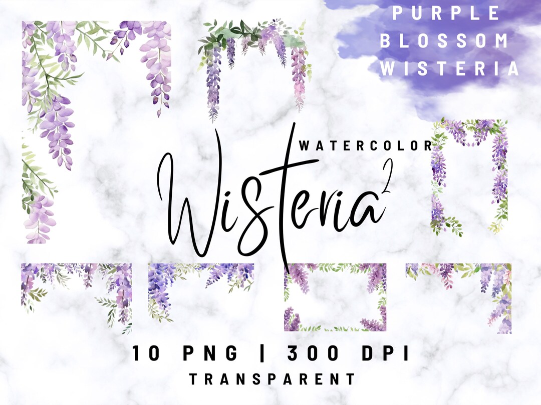 Wisteria Clipart | Wisteria Frame | Clipart Bundle | High Quality Pngs ...