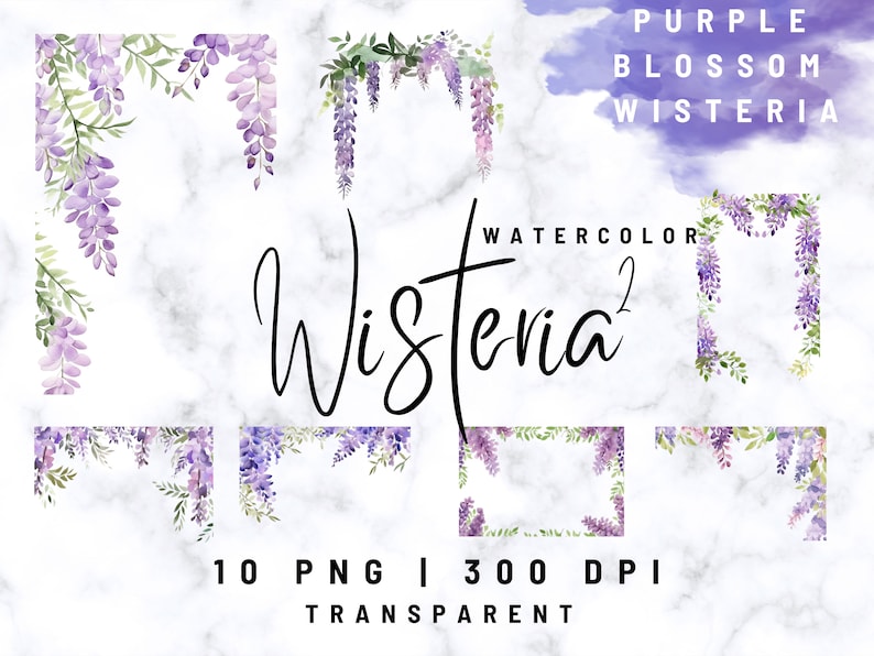 Wisteria Clipart | Wisteria Frame | Clipart Bundle | High Quality Pngs ...