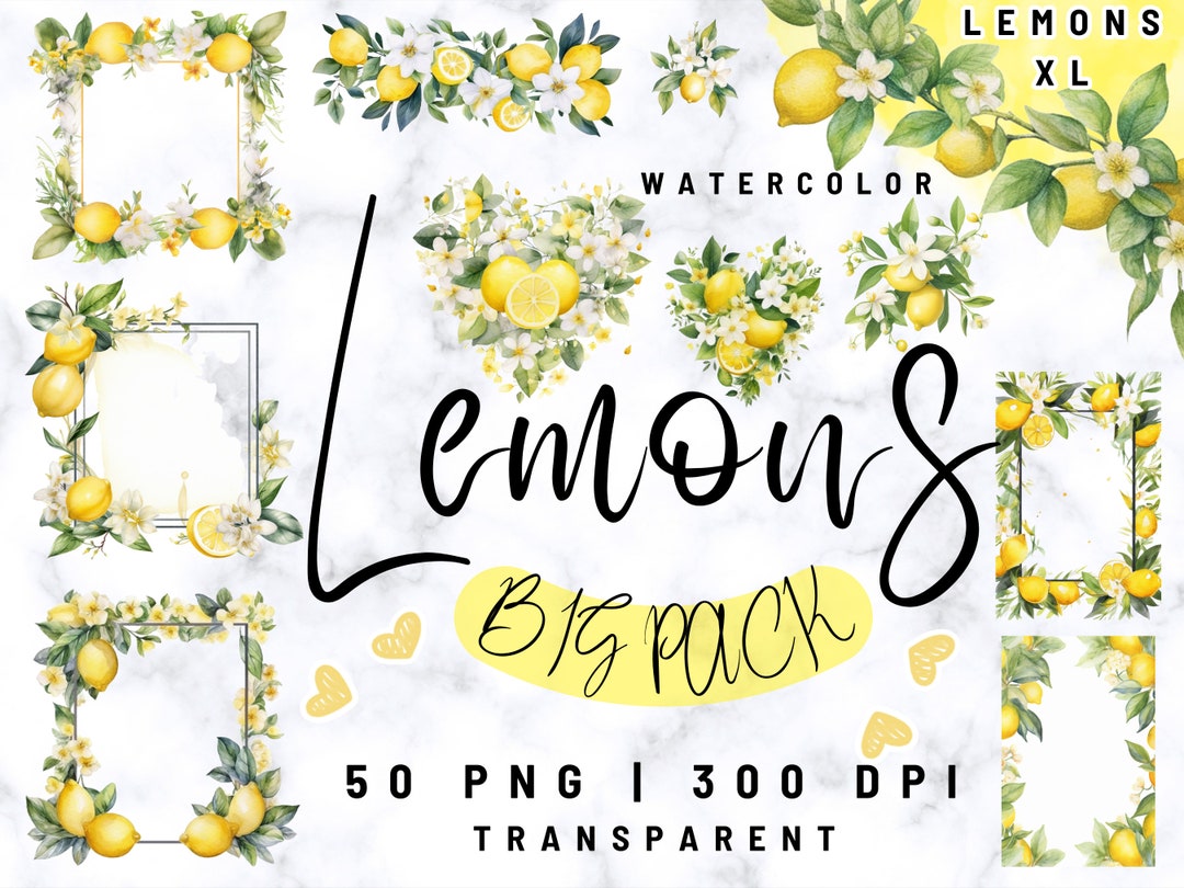 Watercolor Lemon Frames Png | Lemon Clipart Bundle | Watercolor Lemons ...