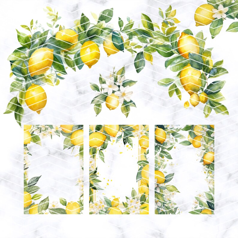 Watercolor Lemon Frames Png Lemon Clipart Bundle Watercolor Lemons ...