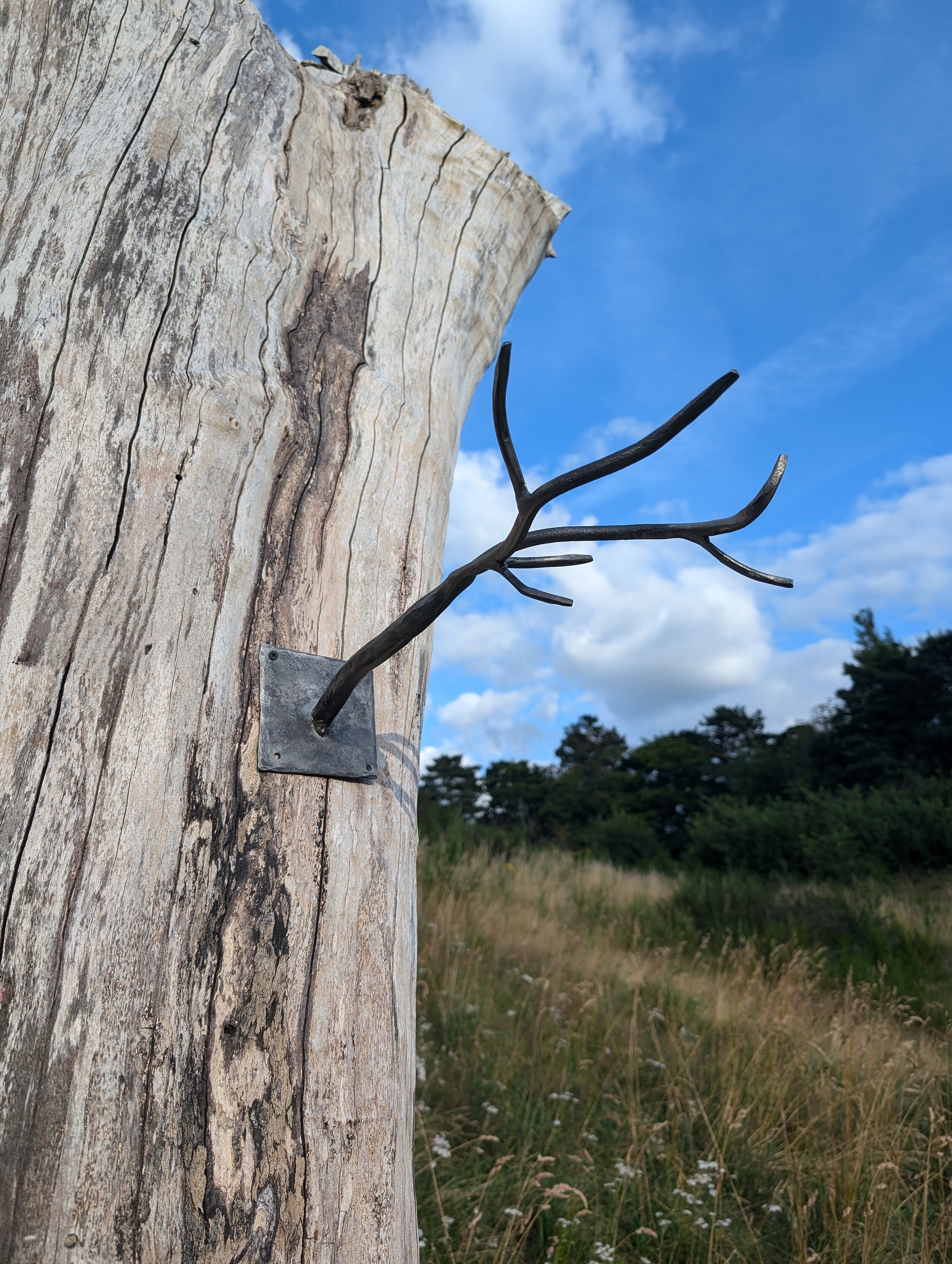 Hand Forged Branch Hanger, Coat Hanger/ Garden Hanger, Indoor Decor ...