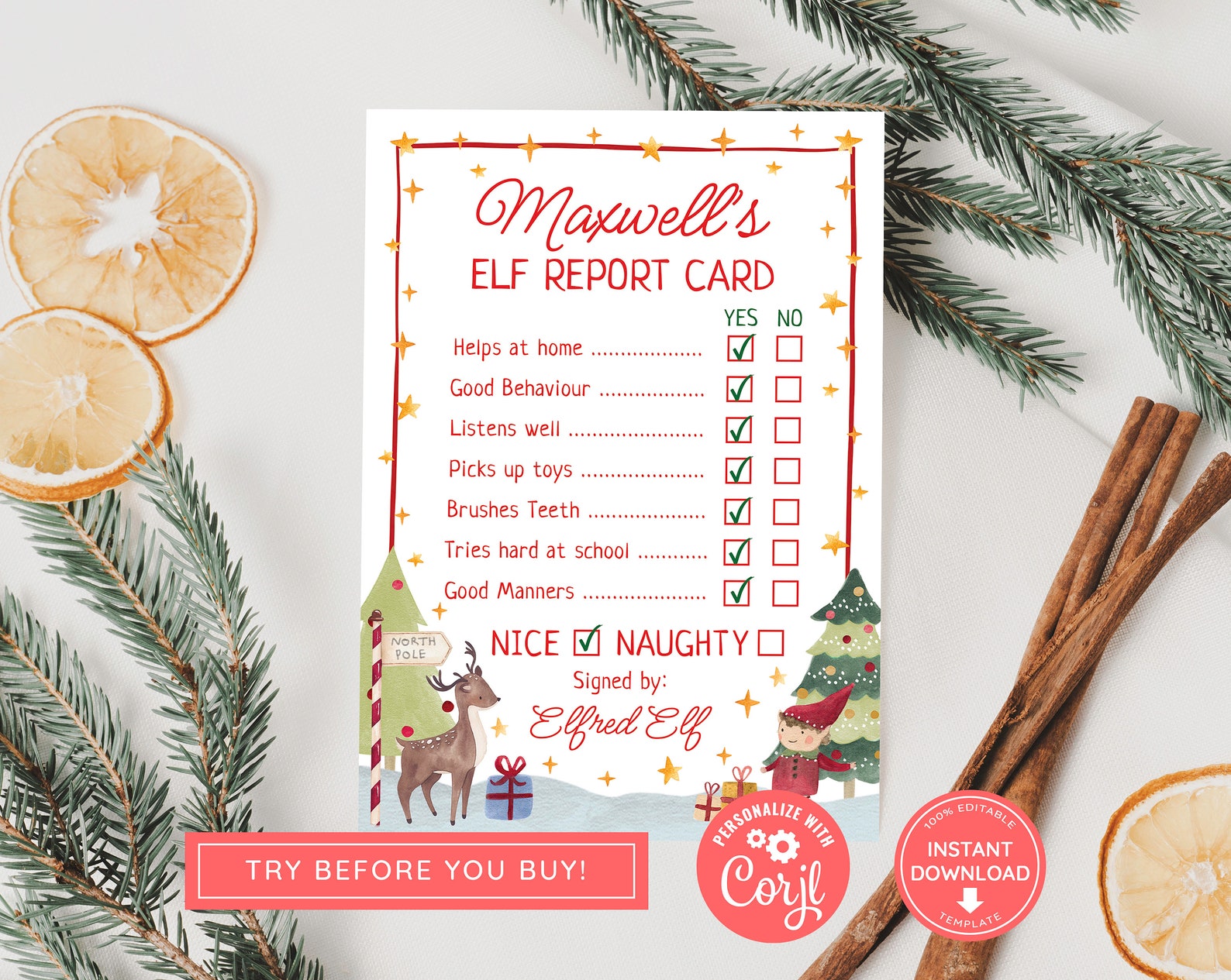 Editable Elf Report Card, Official Elf Report, Christmas Elf, Printable ...