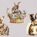 Easter Time Clipart Bundle, Easter Bunny Clipart, Bunny Clipart, Easter ...