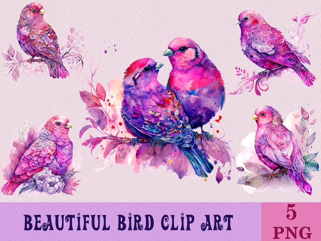 Beautiful Bird Clip Art Bundle, Purple Bird Clipart, Bird Png, Love ...