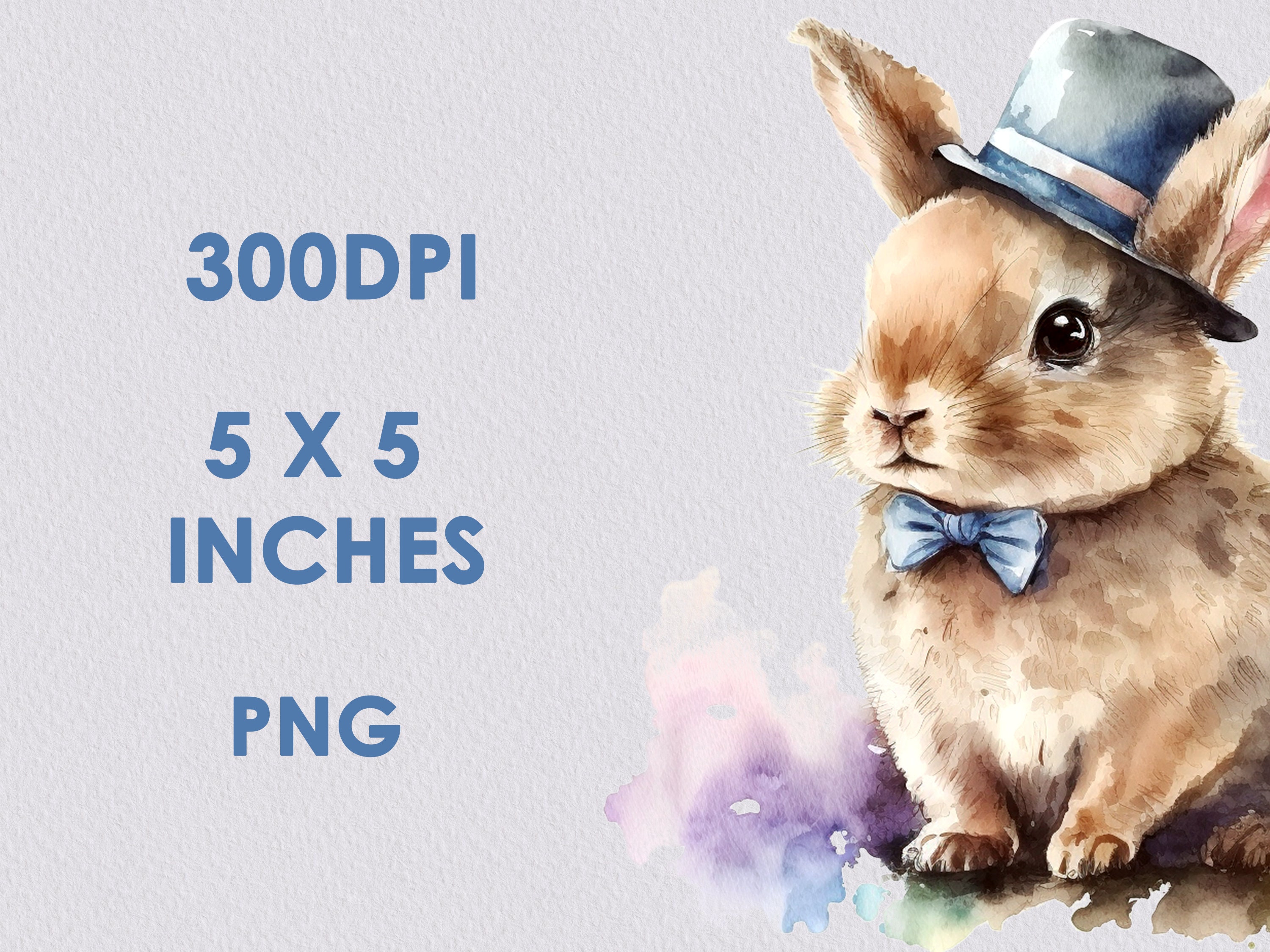 Easter Clipart Bundle, Easter Bunny Clipart, Bunny Clipart, Sublimation ...