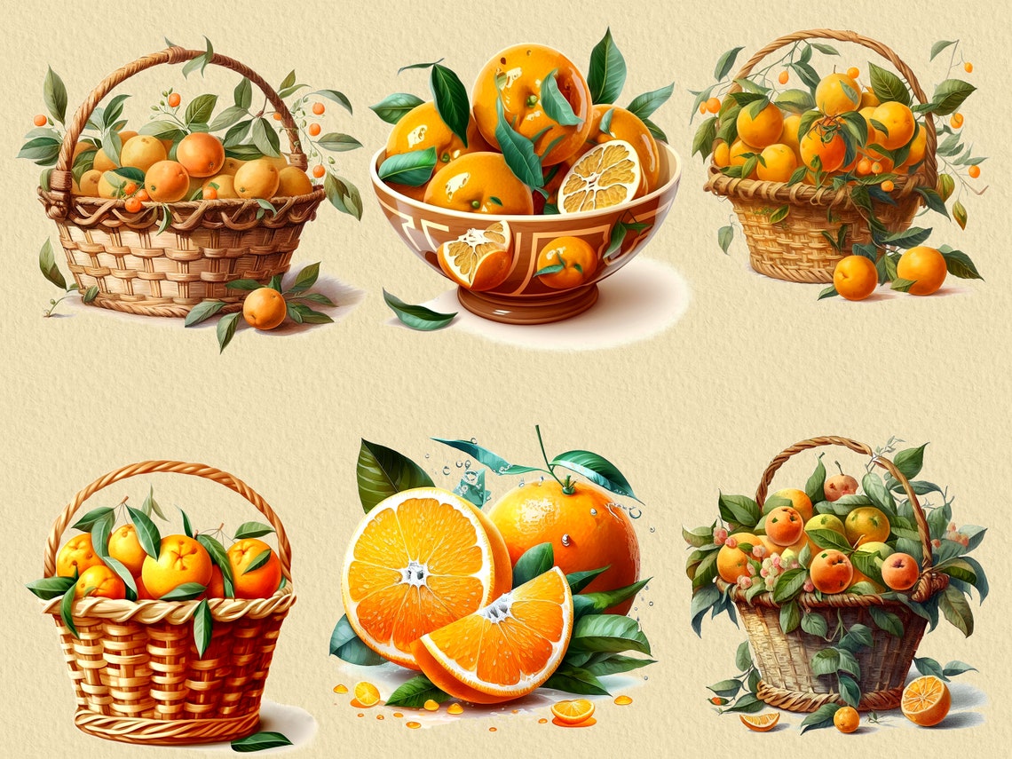 Oranges Clipart Bundle, Orange Basket Clipart, Orange Clipart, Fruit ...