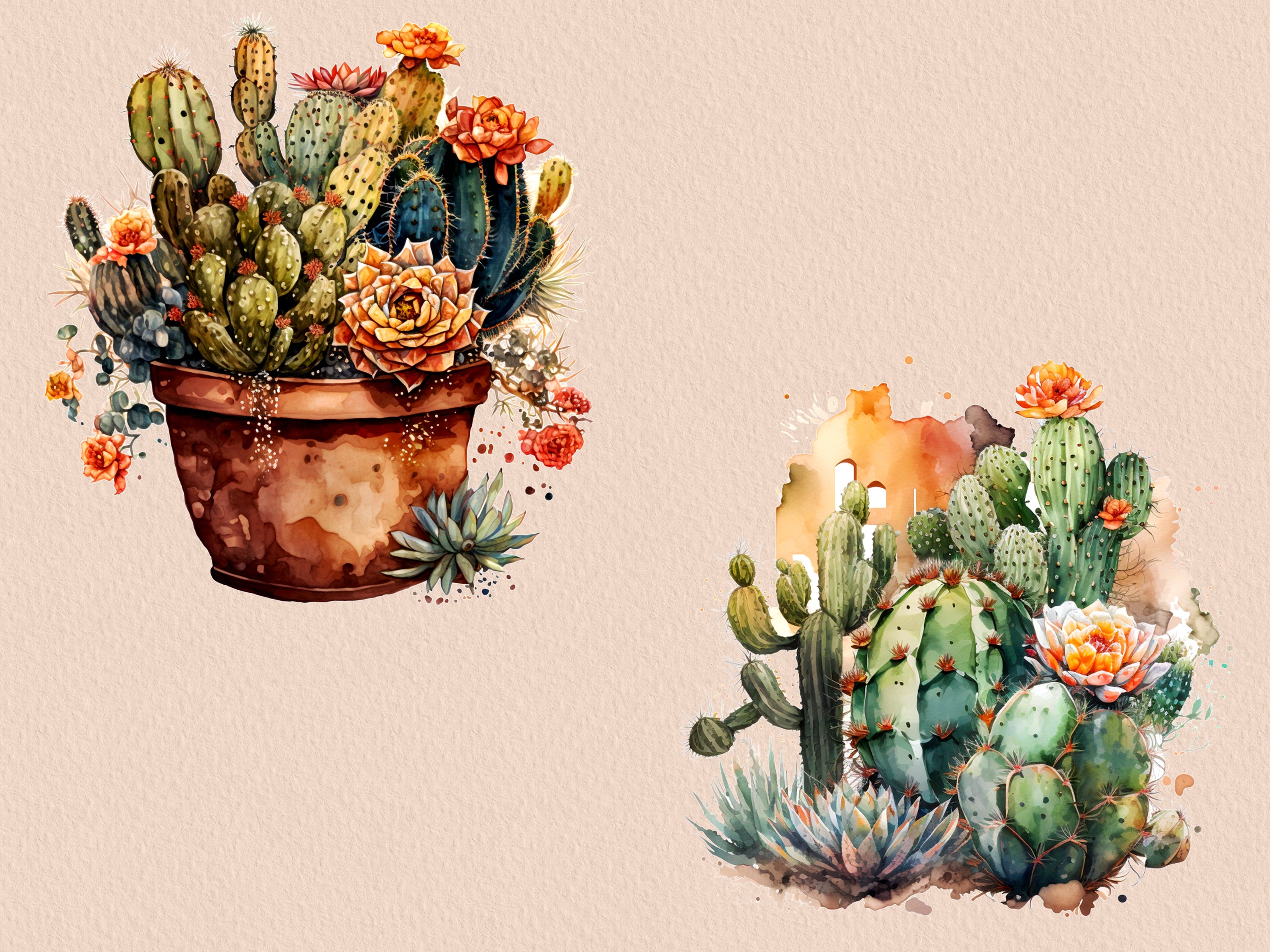 Cactus Plant Clip Art PNG, Sublimation PNG Printable, Cactus Png, PNG ...