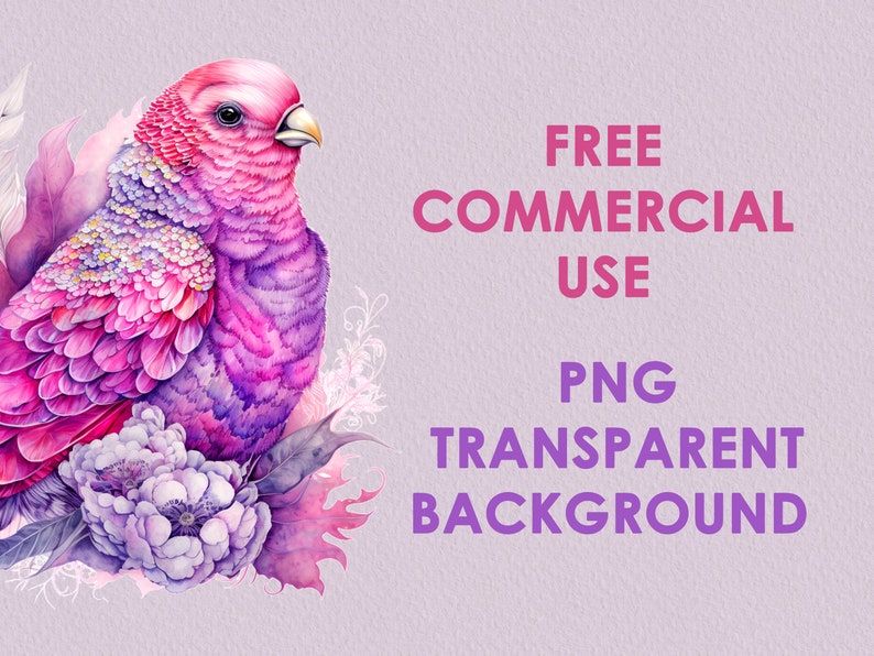 Beautiful Bird Clip Art Bundle, Purple Bird Clipart, Bird Png, Love ...