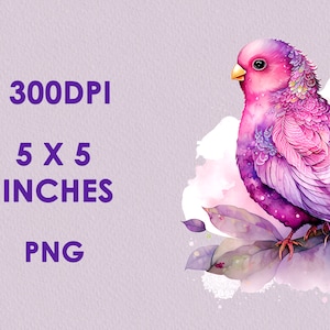Beautiful Bird Clip Art Bundle, Purple Bird Clipart, Bird Png, Love ...