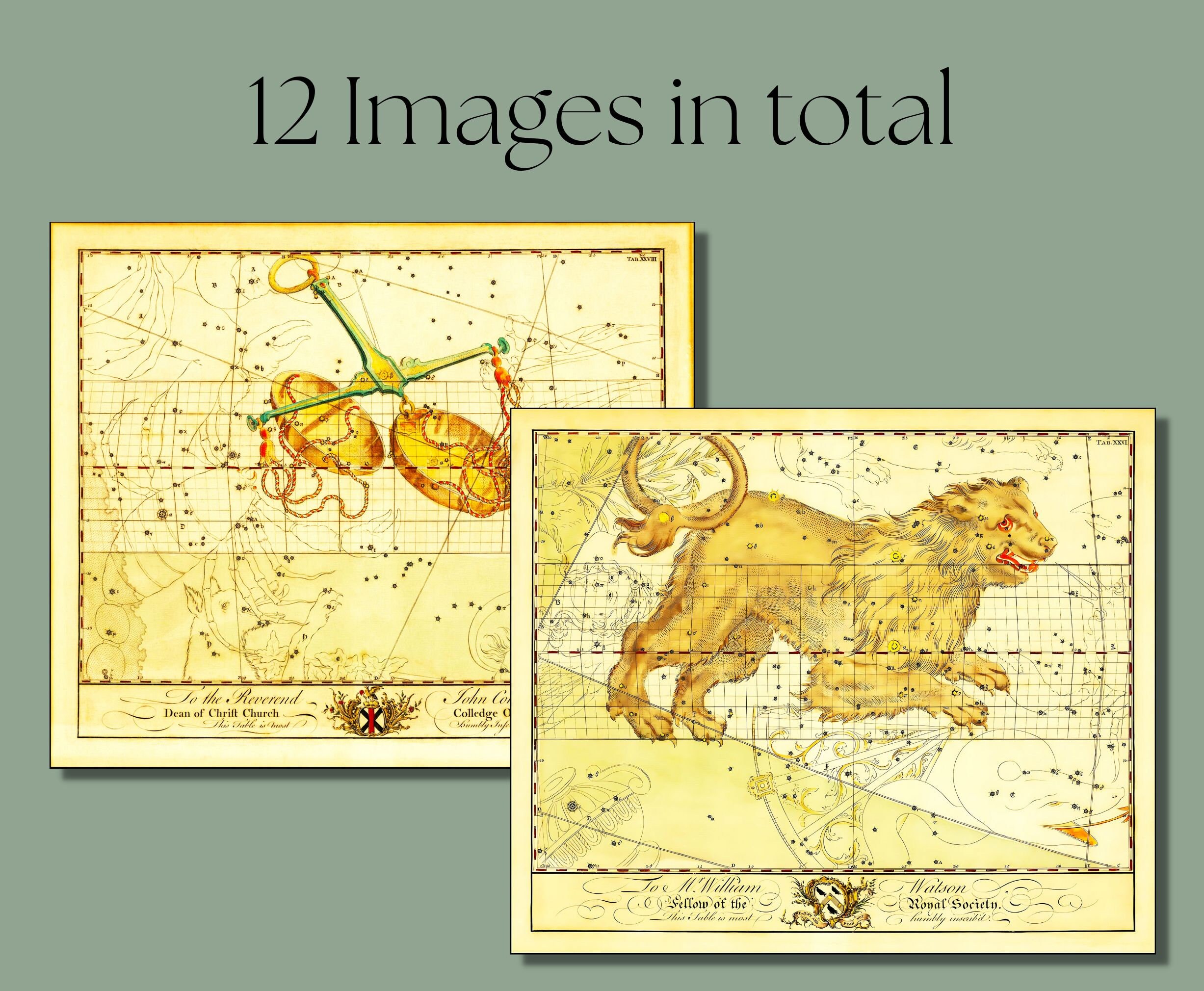 Printable Zodiac Illustrations From Uranographia Britannica by Dr. John ...