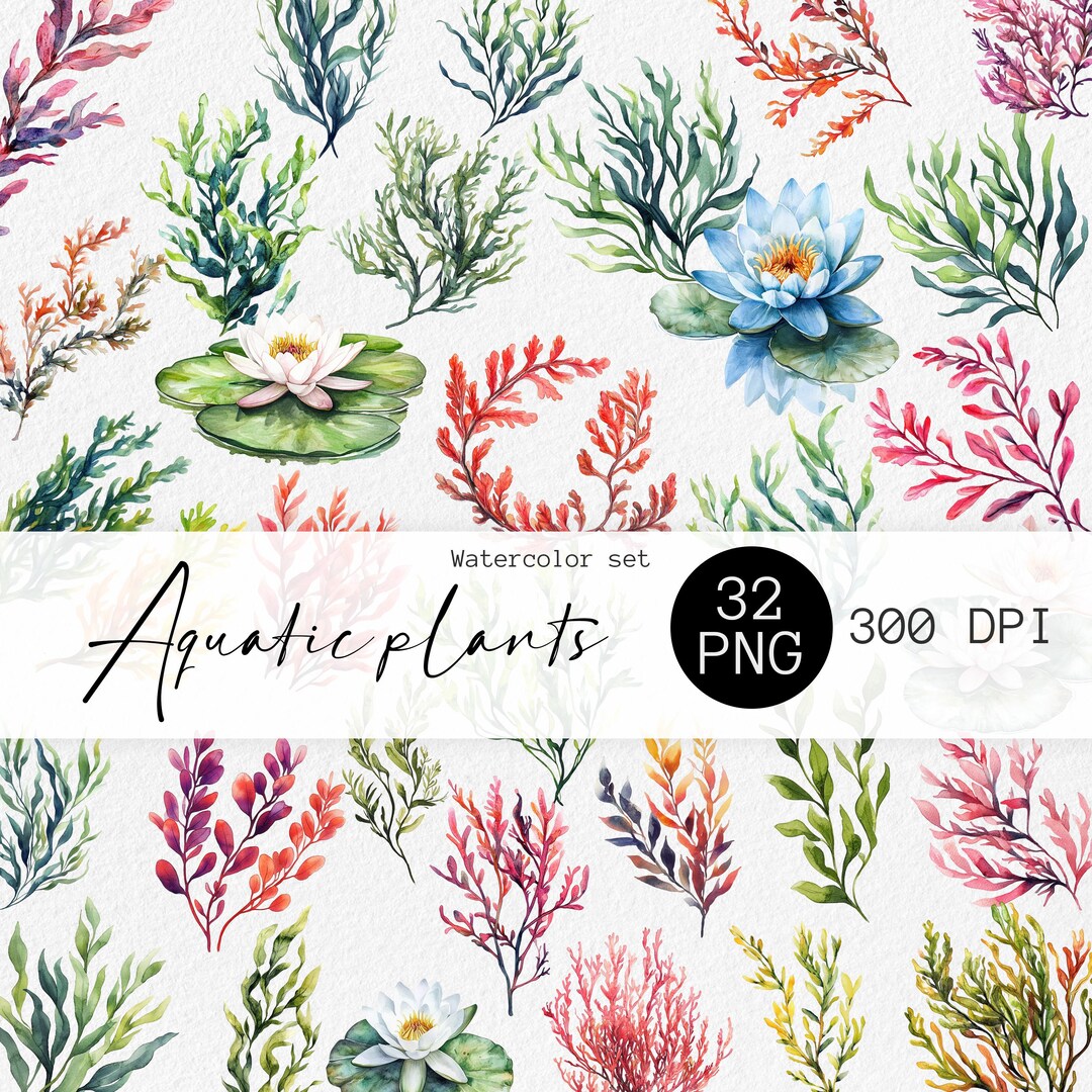 Watercolor Seaweed Clipart, Aquatic Plants PNG, Ocean Flora, Underwater ...