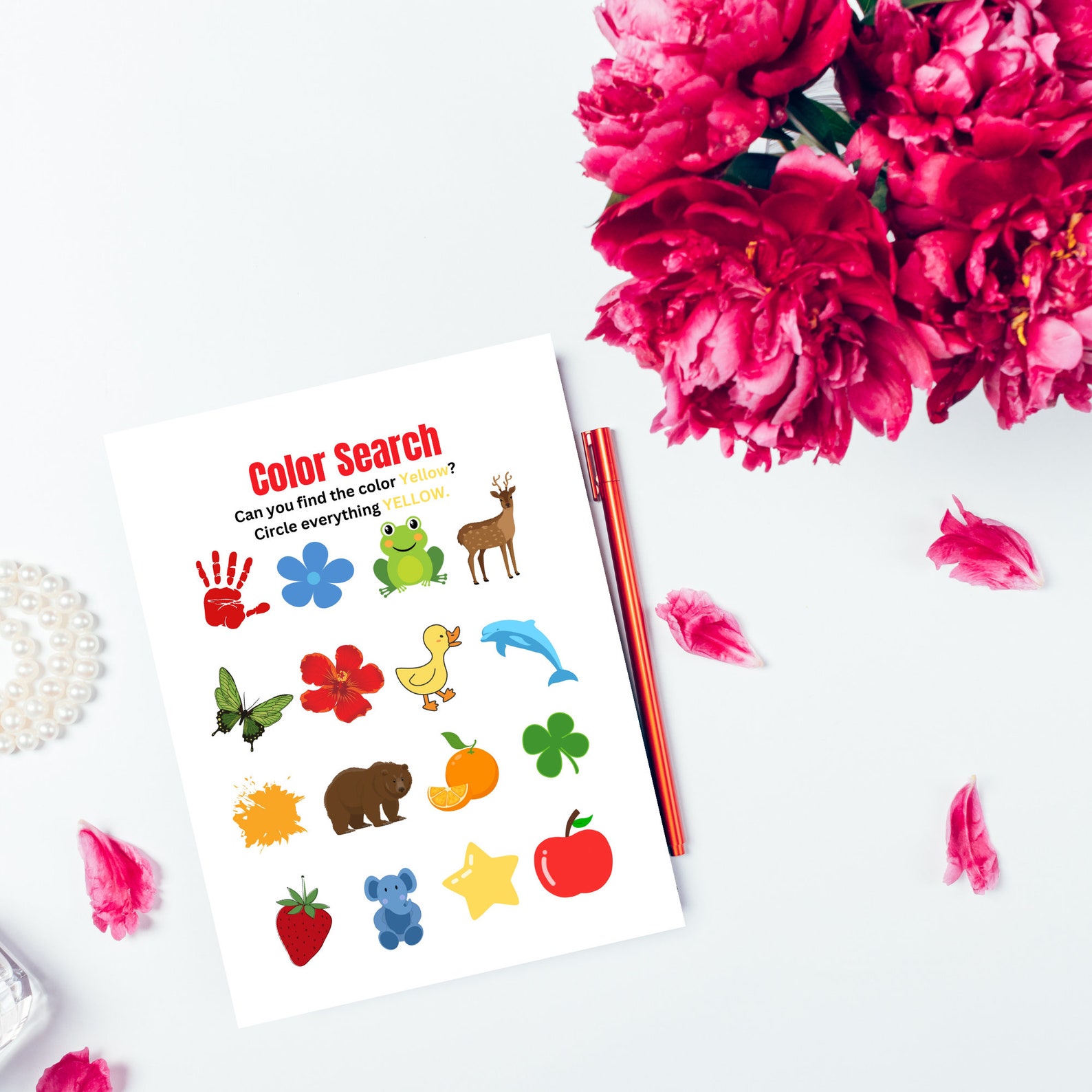 Colors Learning Worksheets for Kids, Homeschool Learning Worksheets for ...