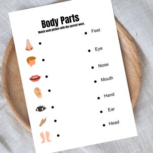 Do You Know Your Body Parts Kids Worksheet, Printable Anatomy Practice ...