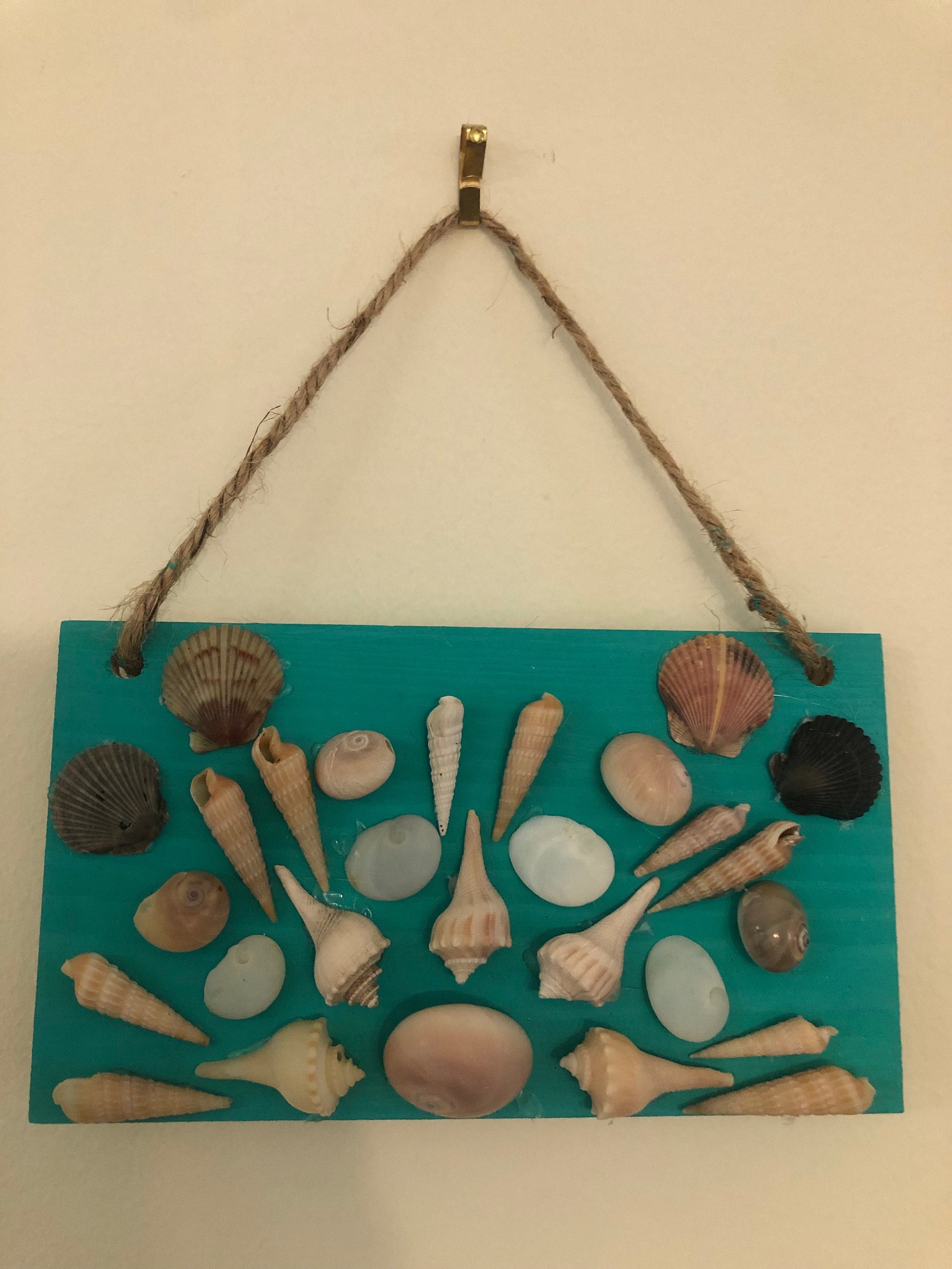 Seashell Wall Hanging - Etsy