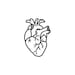 Anatomical Embroidery Patterns - Heart, Lungs, and Brain - PDF Download ...
