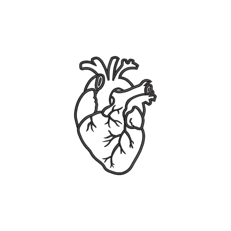 Real Realistic Heart - Etsy
